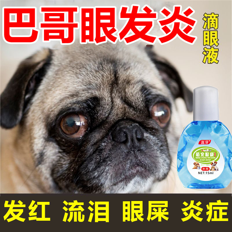 Pug Eyes Inflammation Pug Eye Drops Dogs Remove Tears Dog Eyes ...