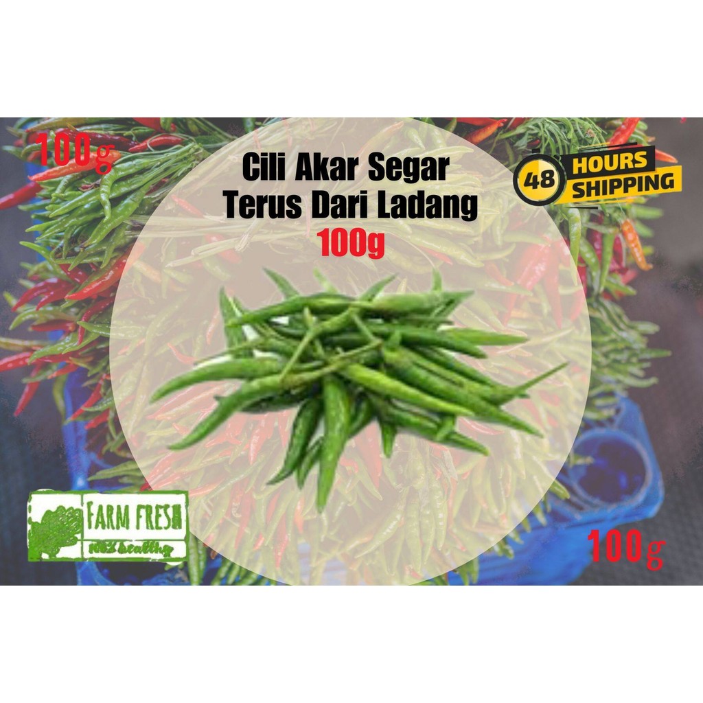 Cili Akar Hijau Besar (Cabe Cabai) Premium - Segar dari Ladang 100g ...