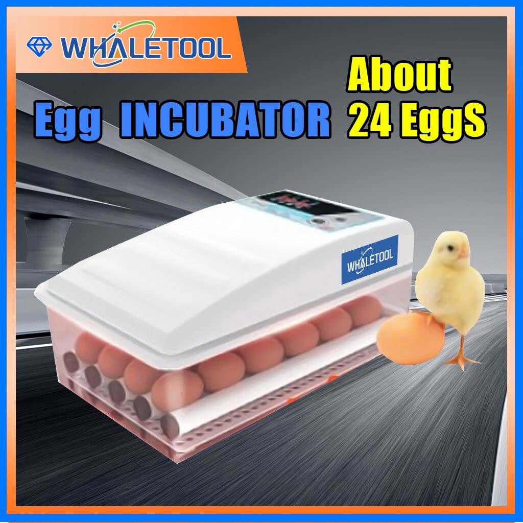 24 Eggs Incubator Brooder Bird Quail Chick Hatchery Incubator Poultry ...