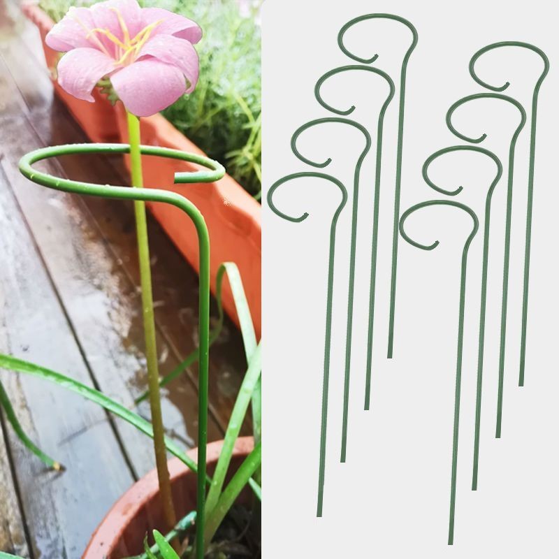 [1341 People Praise] Plant Support Hydrangea Phalaenopsis Support ...