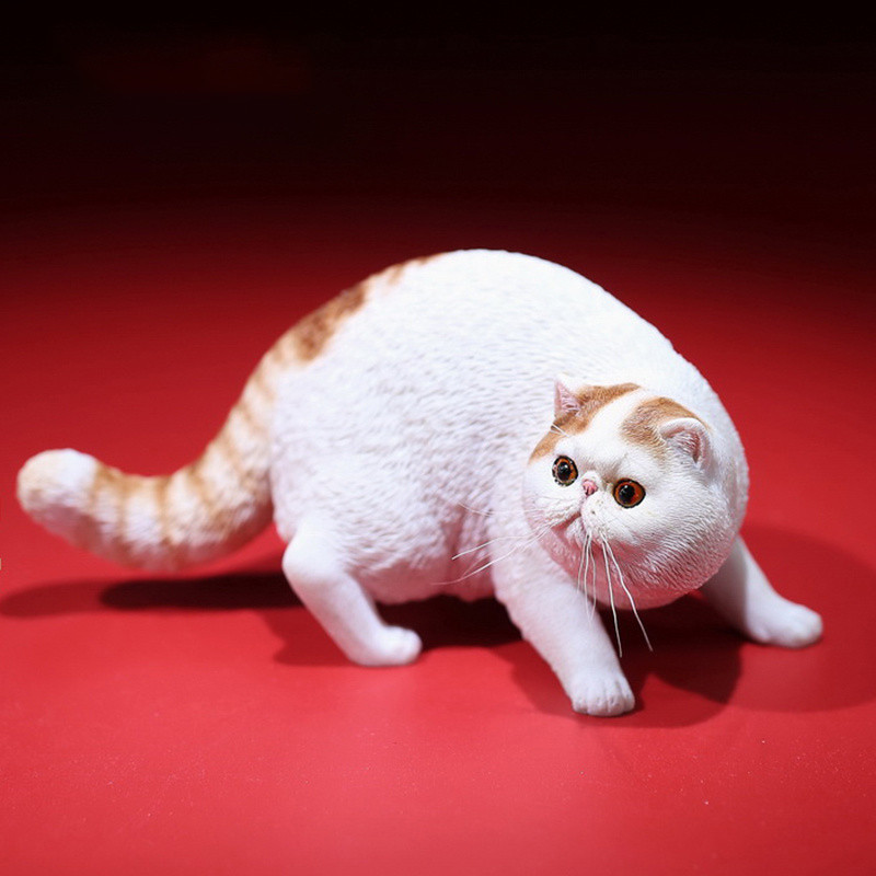 Mr.z Exotic Short-Haired Cat/Garfield/Blue Cat Decoration Simulation ...