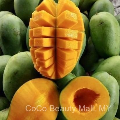 [Free Shipping] Harumanis Perlis - 100% Original Fresh Direct Kebun ...