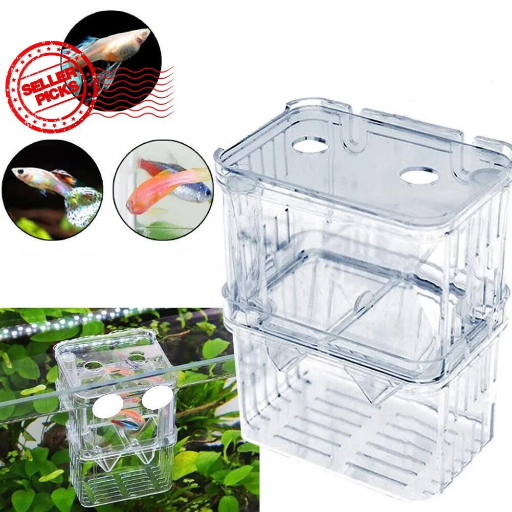Fish Breeding Acrylic Double Layer Self-floating Peacock Fighting Fish ...
