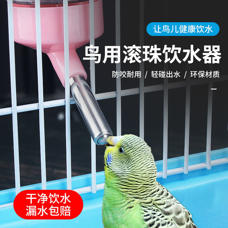 鸟用饮水器鹦鹉喂水器玄凤虎皮绣眼八哥鸟用喝水的水壶鸟笼用品Bird water dispenser, parrot water ...
