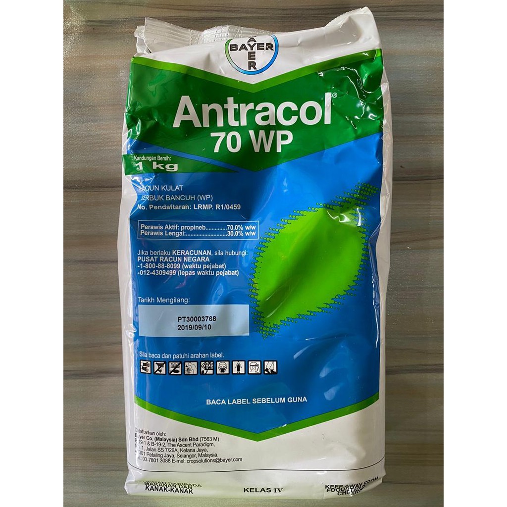 1kg Antracol 70 WP Bayer Fungicide | Shopee Malaysia