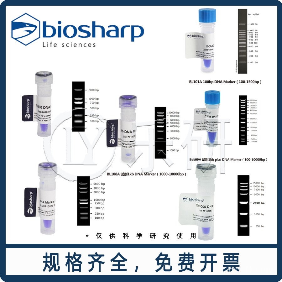 Penanda DNA Elektroforesis Gel Agarose 100-1500bp/100-2000bp/100-5000bp ...