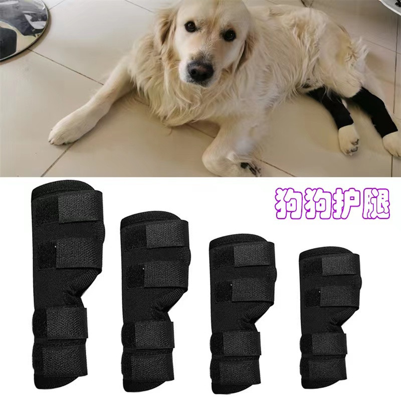Dog Leg Protector Knee Protector Protect Joint Leg Injury Recovery ...