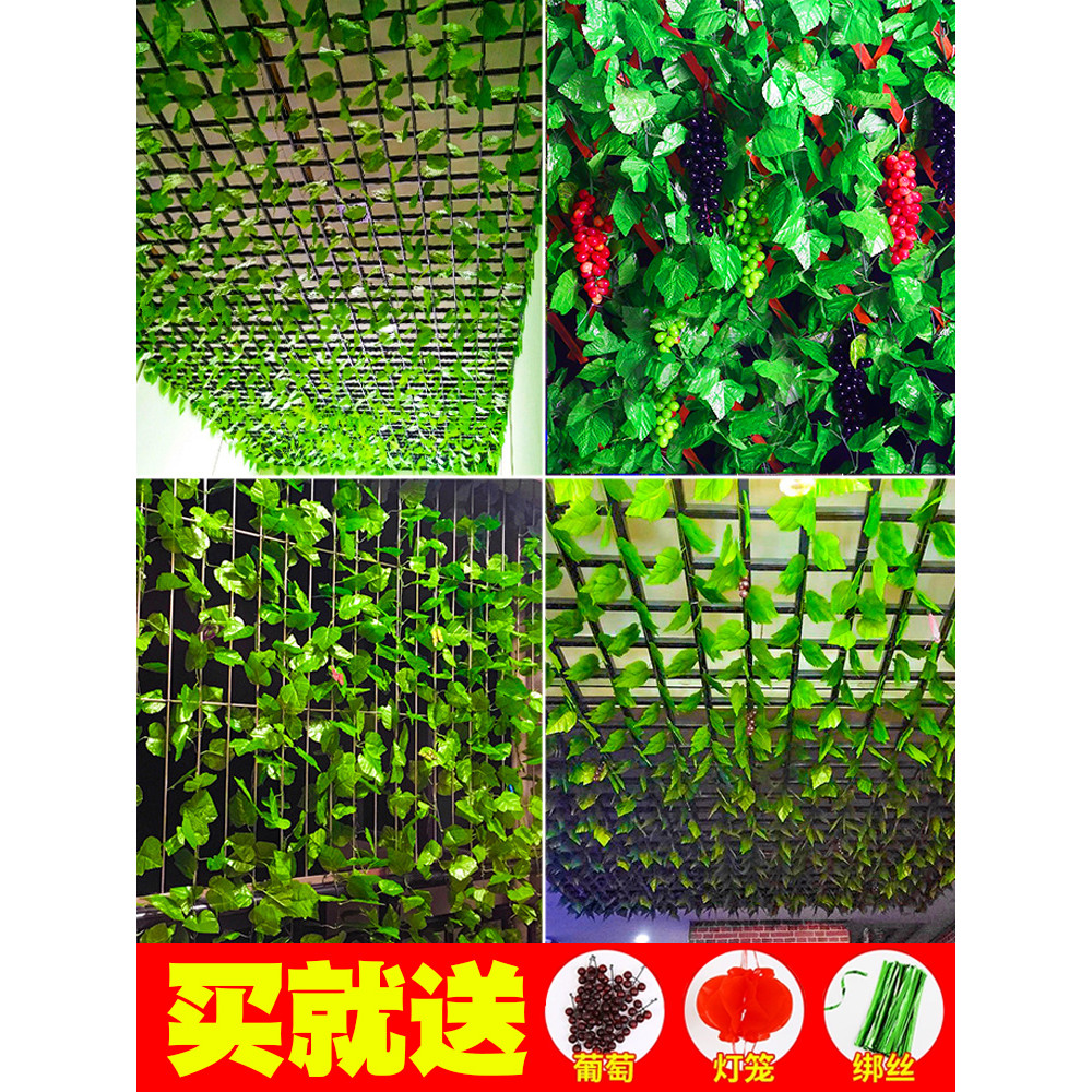 Hiasan daun anggur batang rotan siling gantung dalaman dill hijau ...