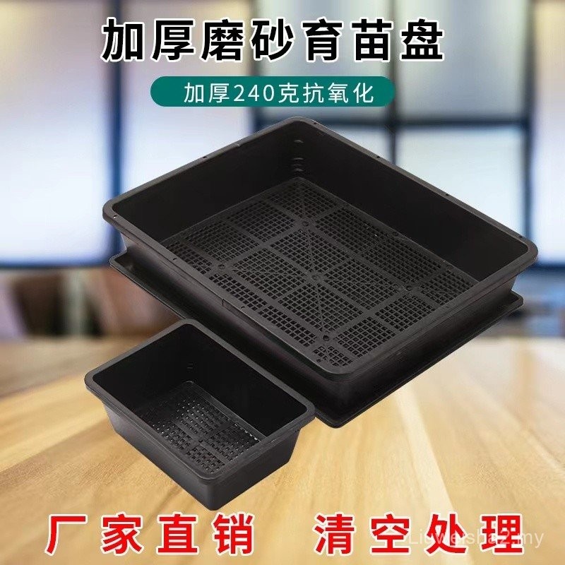 Thickened Succulent Seedling Frame Vegetable Planting Cultivation ...