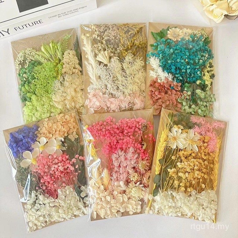 Kit Bahan Seni Bunga Bunga Kering Abadi Jenis A untuk Melukis, Kipas ...