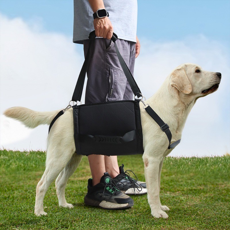 Pet Leash Rehabilitation Chest Strap Adjustable Dog Outdoor Travel ...