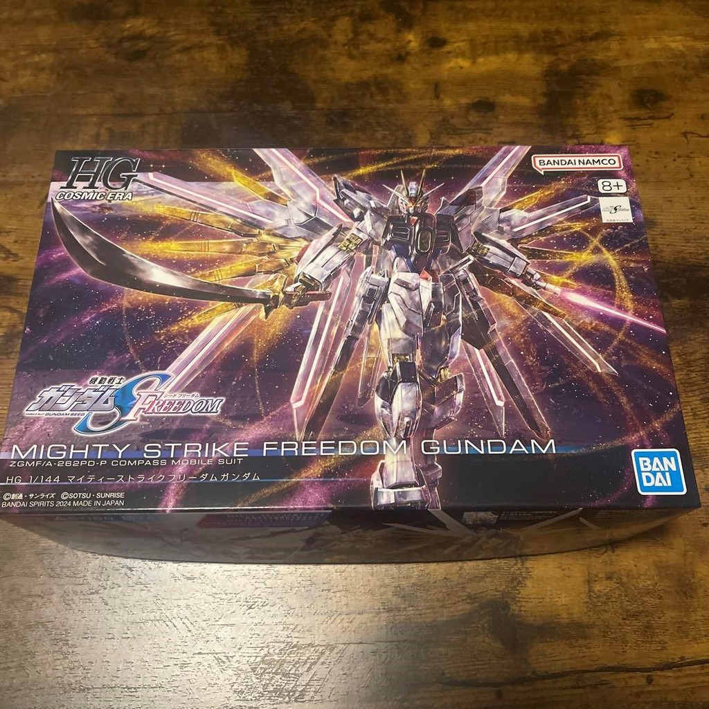 Gunpla HG1/144 Mighty Strike Freedom Gundam【High quality products ...