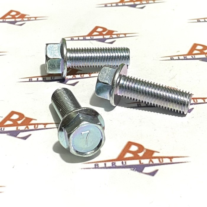 (5-piece package) M10x30 Flange Bolt Original 3cm Length 14 Bolt ...