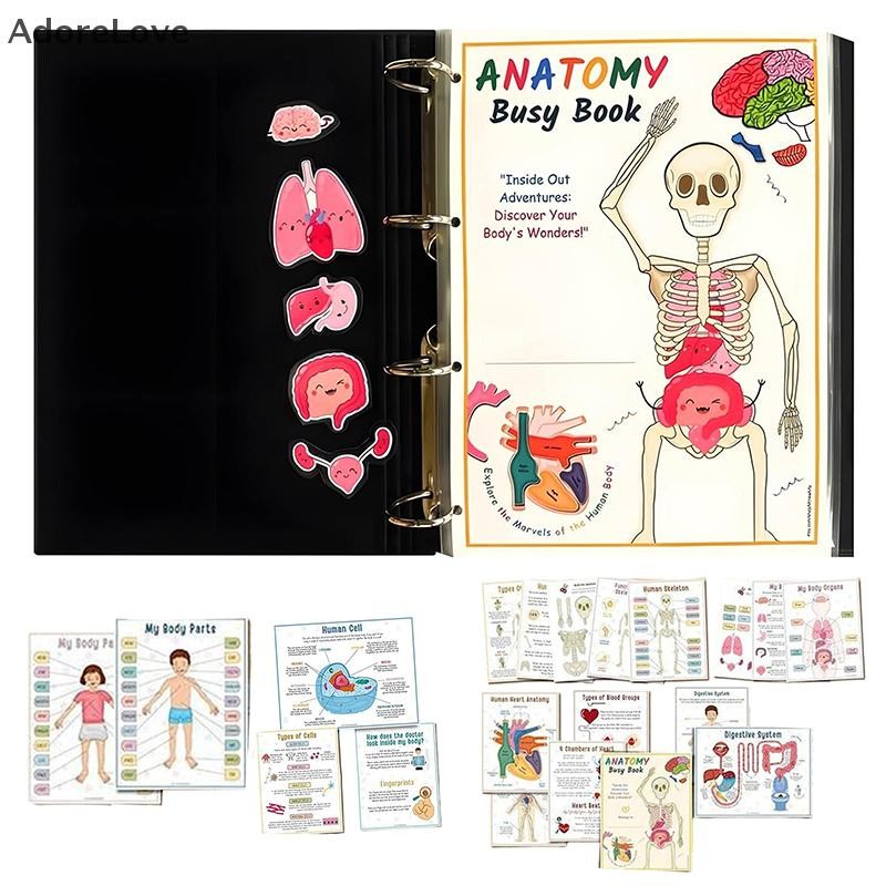 ADL Human Anatomy Busy Book Human Organ Match Preschool Interactive ...