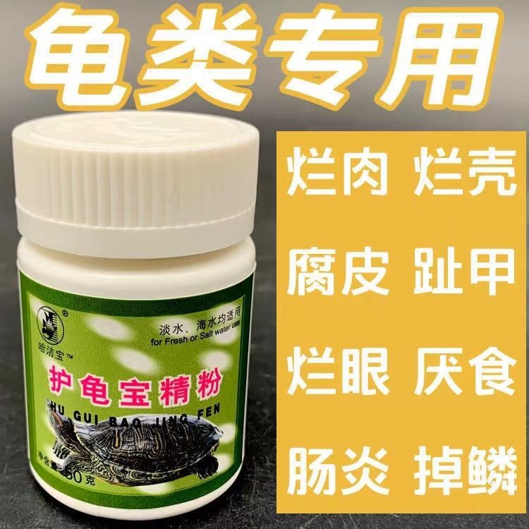 Protecting Turtle Treasure Essence Pink Turtle Turtle Spirit Turtle ...