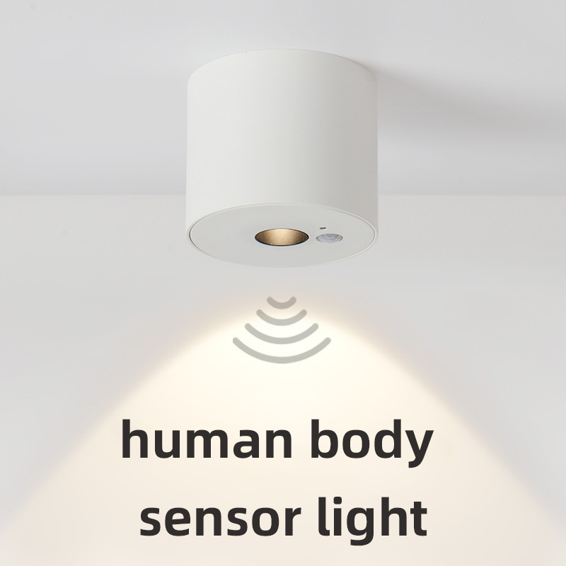 Surface mounted human body sensing spotlights, entrance corridors ...