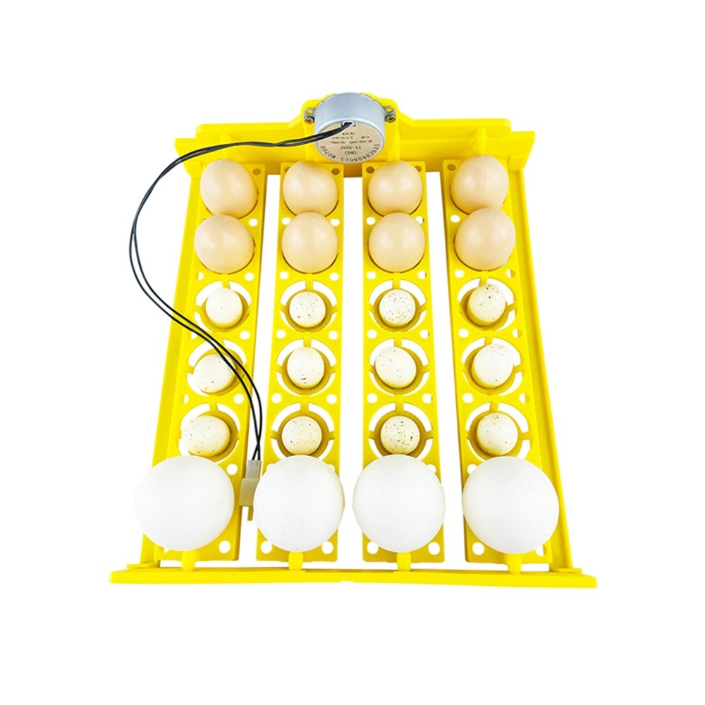 24pcs Eggs Incubator Tray Automatic Egg Turner Turning Tray Automatic ...