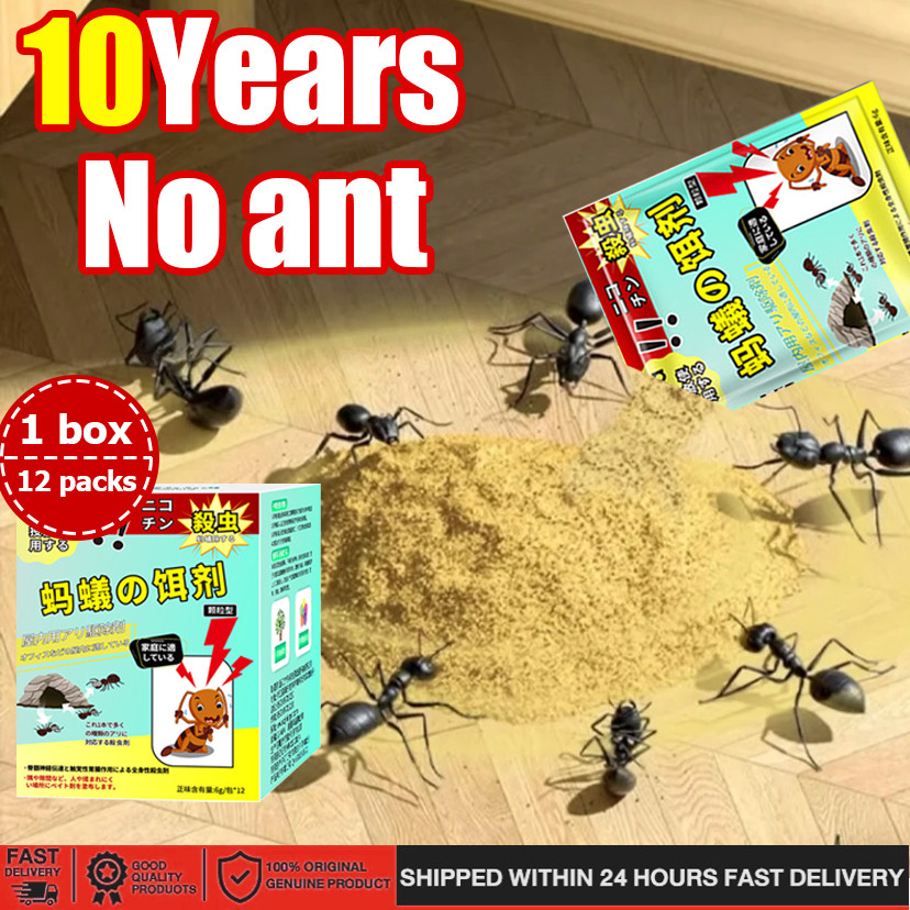 【READY STOCK】Ant Bait Ant Killer Bait Ubat Semut Berkesan Ubat Semut ...