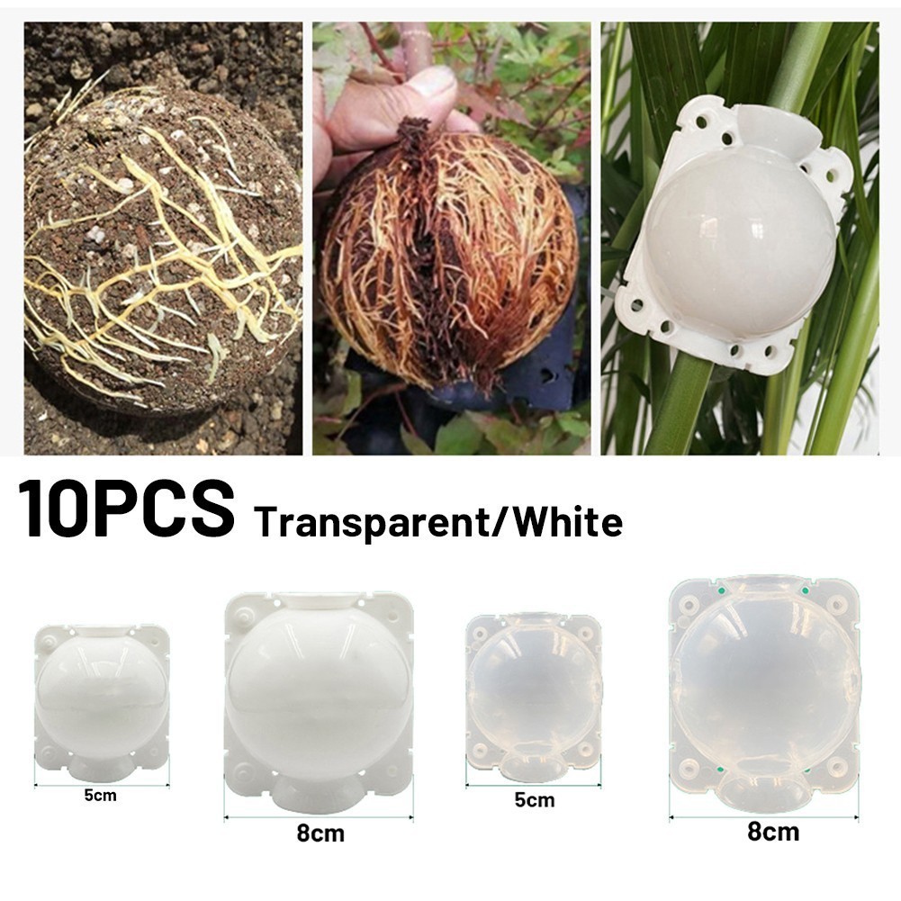 [CM] 10x Plant Rooting Equipment High Pressure Propagation Ball Garden ...
