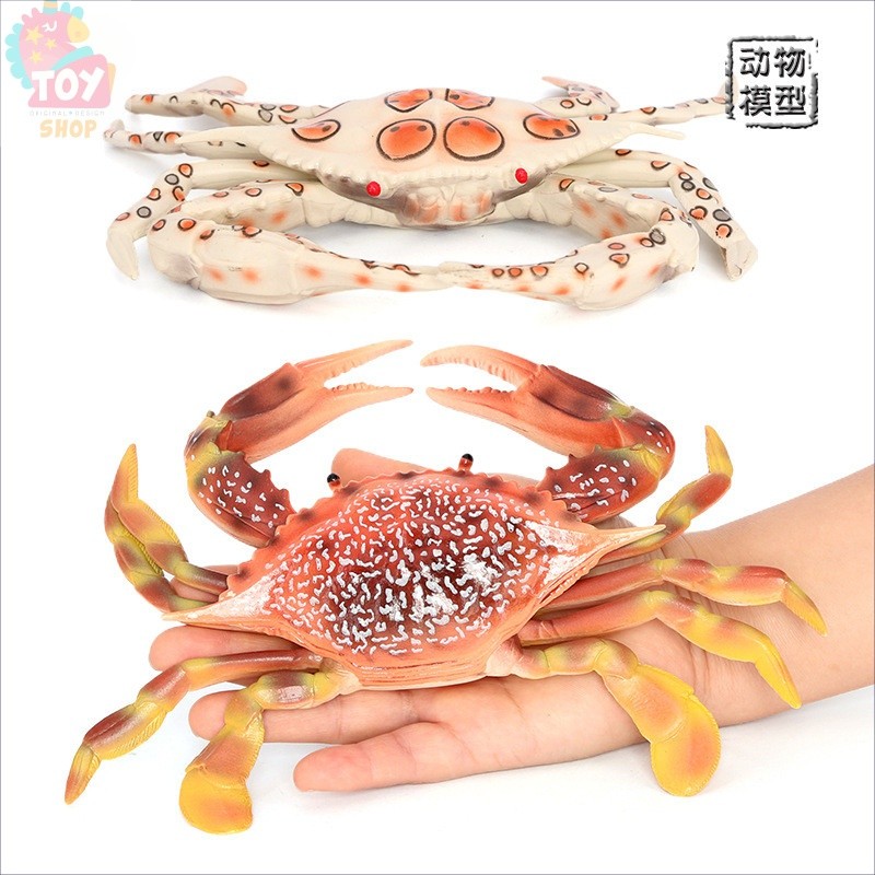 Children Science Educational Toys Simulation Marine Life Crab Model ...