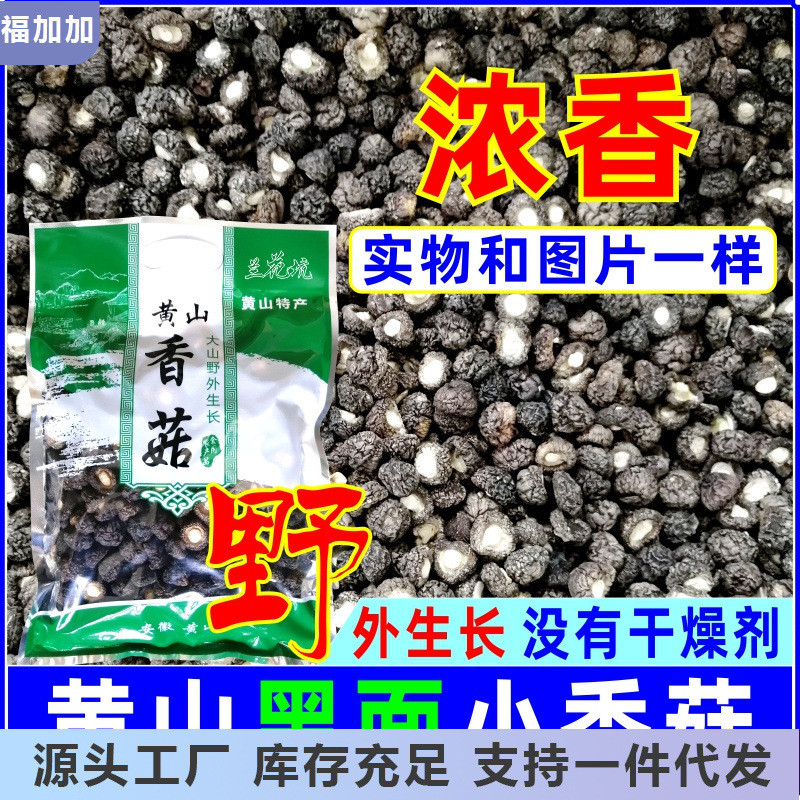 Orkid Keng Huangshan cendawan Barang Kering Mie Hitam cendawan Kecil ...