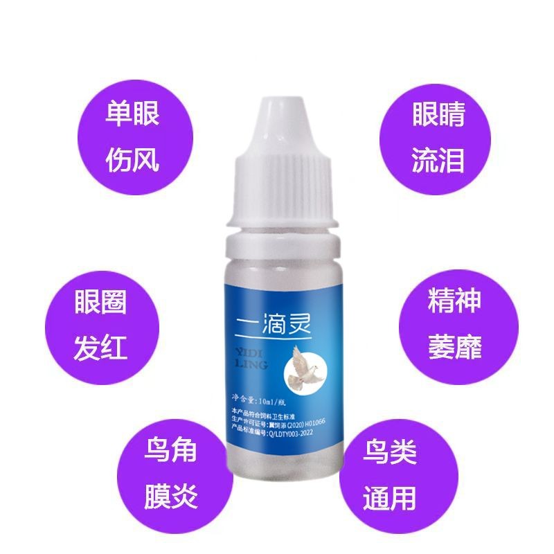 Parrot eye drops a drop of spiritual pigeon single-eye cold eye drops ...