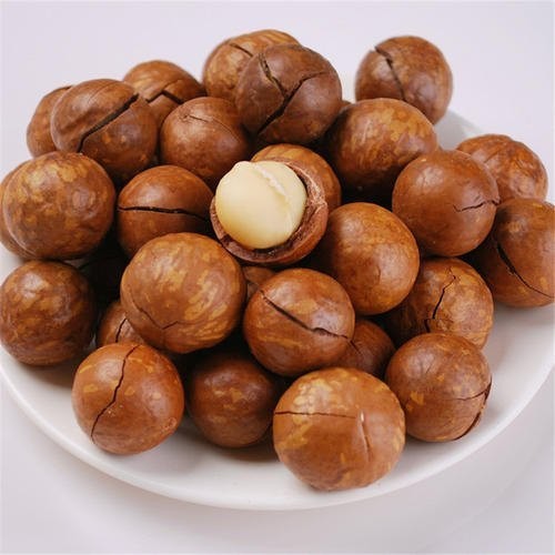 500g (BUTTER FLAVOUR) MACADAMIA IN SHELL ROASTED UNSALTED | Shopee Malaysia