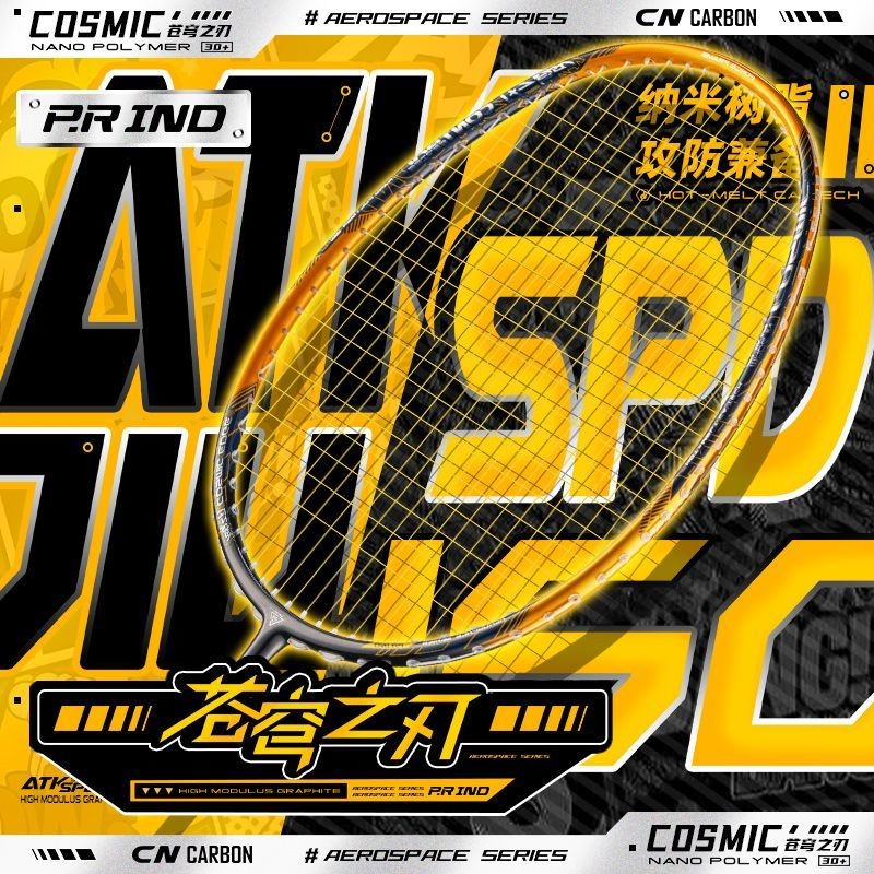 Lee Chong Wei Training Racket - 78g Carbon Fiber (BA of Malaysia ...