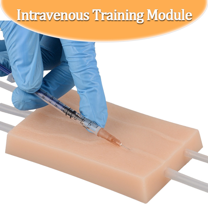 Intravenous Injection Nurses Blood Collection Simulated Skin Exercise ...