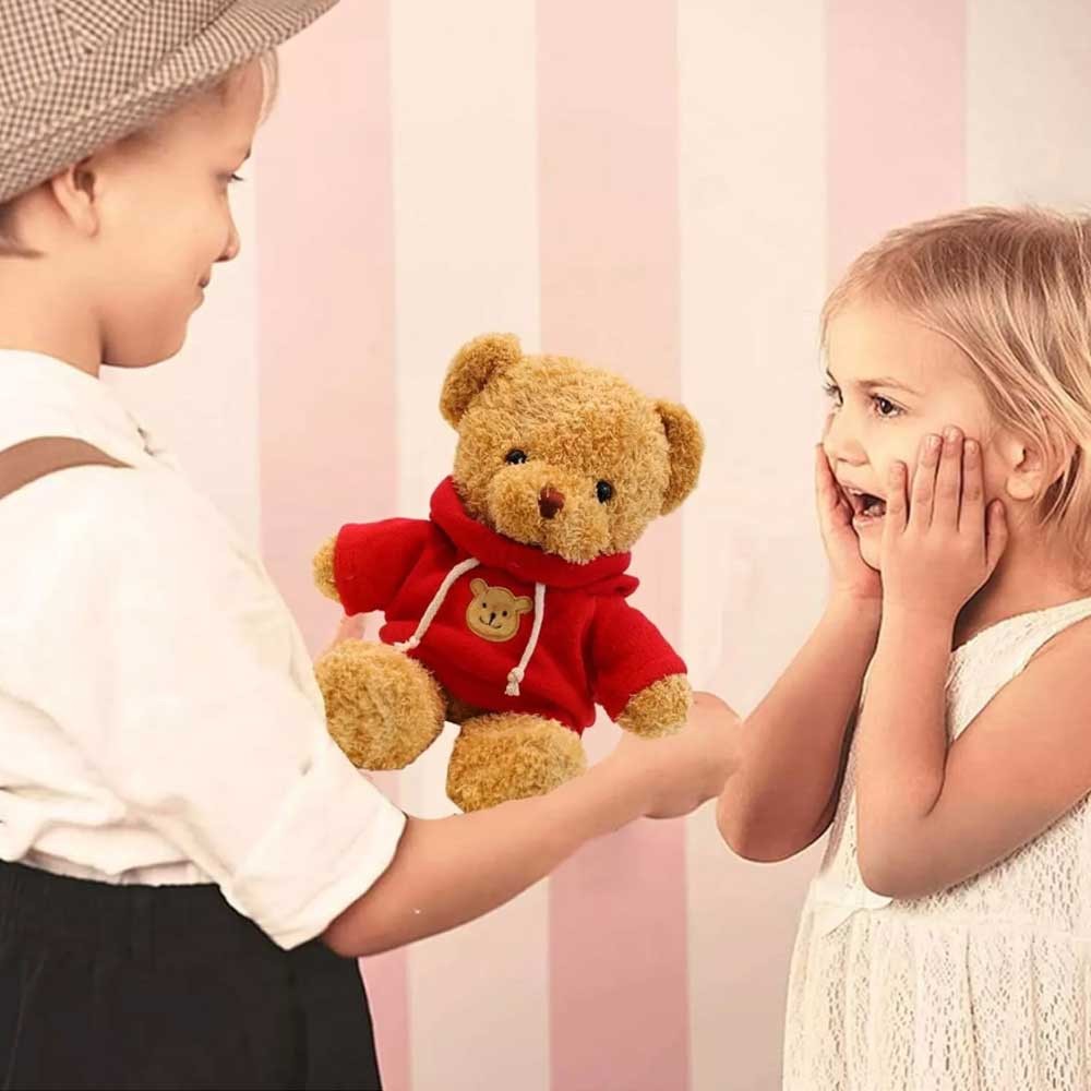 Teddy Bear Plush toy Teddy Bear Animal Stuffed (30cm) | Shopee Malaysia
