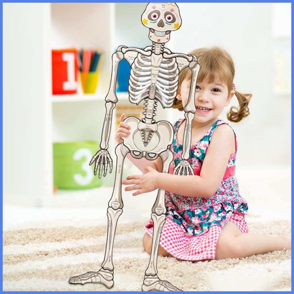 Organ of Human Match Educational Learning Preschool Toys Human Body ...