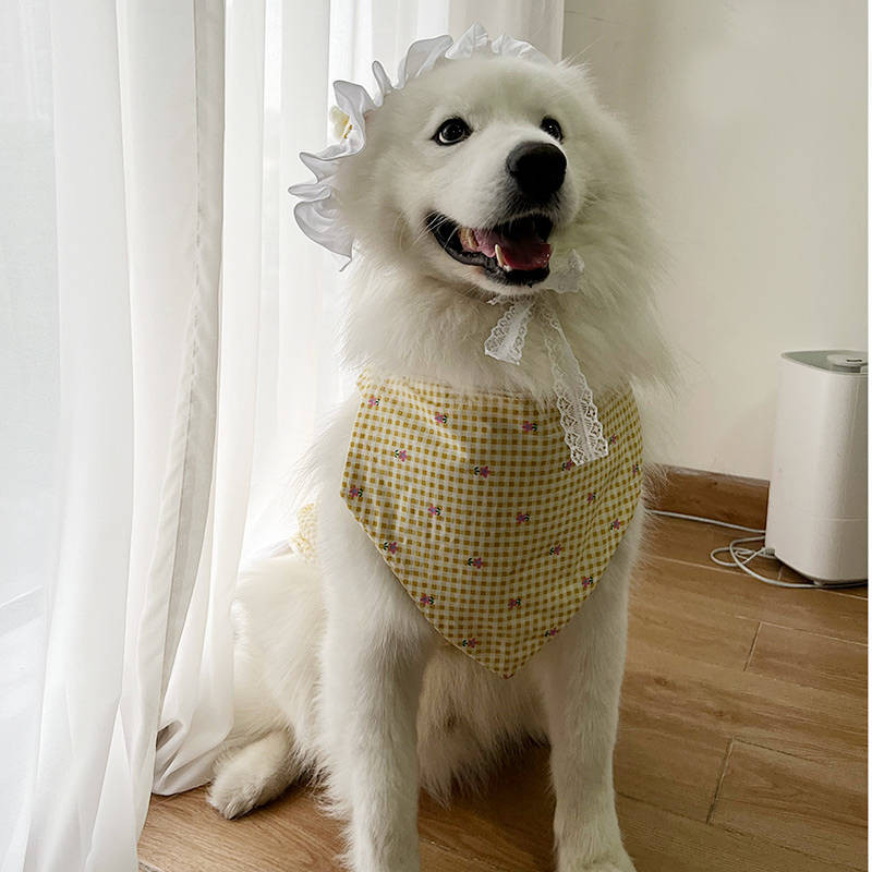 Big Dog Clothes Autumn and Winter Dog Dog Clothes Large Dog Labrador ...
