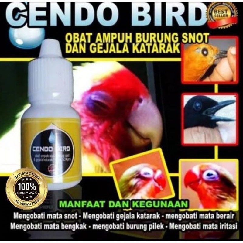 MATA [RBJ] Cendo Bird Medicine for Birds with Watery Slime Cataracts ...