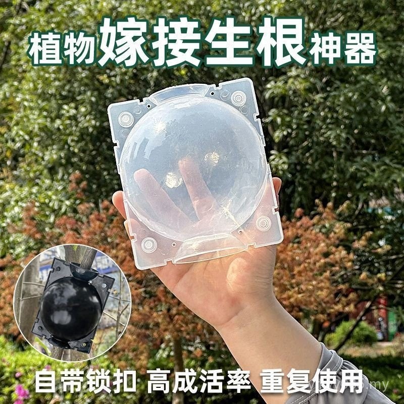 Plant High Pressure Breeding Grafting Box Thickened Fruit Tree Root ...