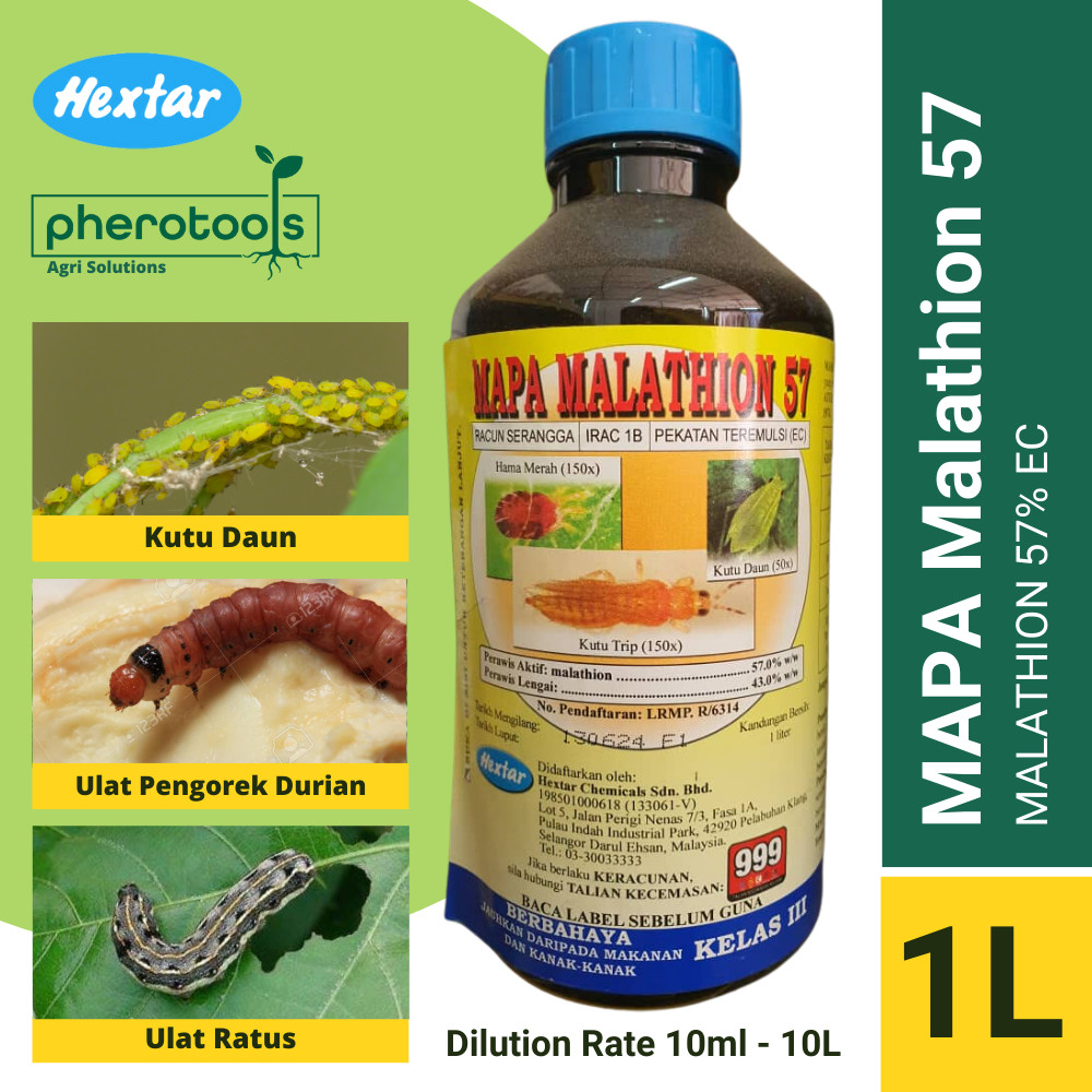 Pherotools HEXTAR MALATHION 57 (1L) FLEA BEETLE/PEPIJAT/KUTU DAUN/BENA ...