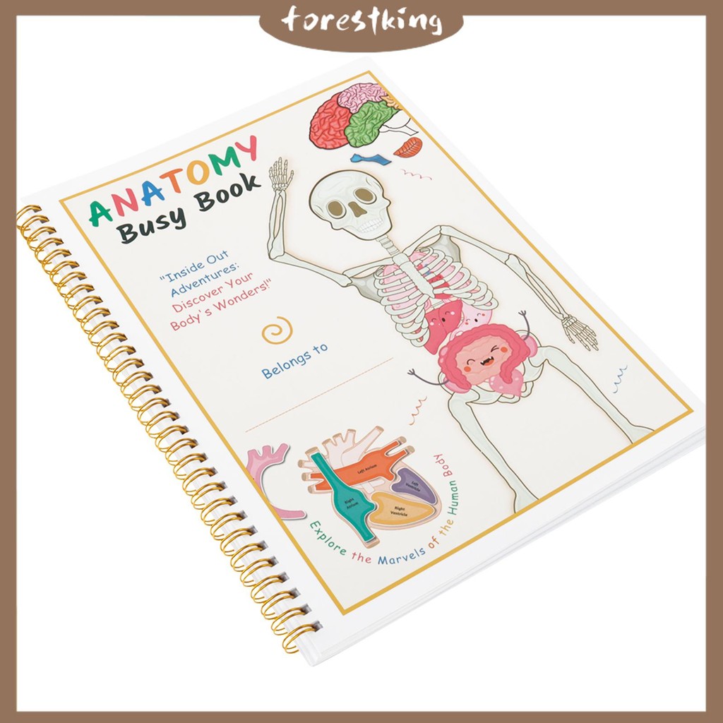 Human Anatomy Quiet Book Human Organ Match Quiet Book Preschool ...