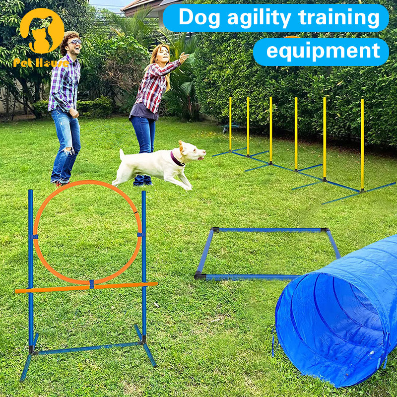 Dog agility training equipment, dog jumping obstacle training, hurdle ...