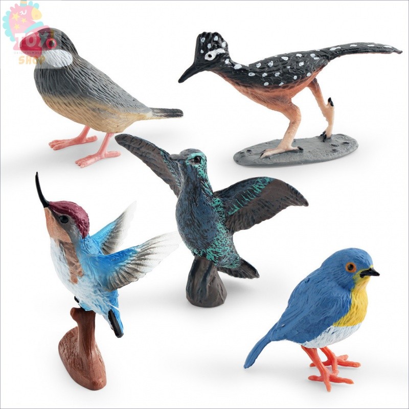 Children Science Education Cognitive Toys Simulation Azalea Hummingbird ...