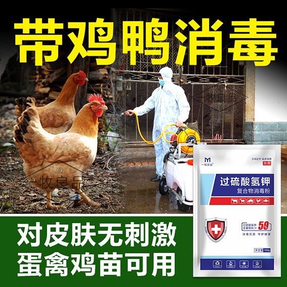 Special disinfectant for chicken houses, chicken plague an鸡舍专用消毒液鸡瘟鸭瘟消毒 ...