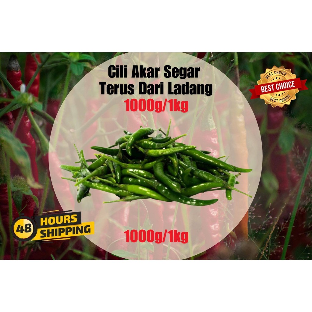 Segar dari Ladang - Cili Akar Hijau Besar (Cabe Cabai) Premium 1000g ...