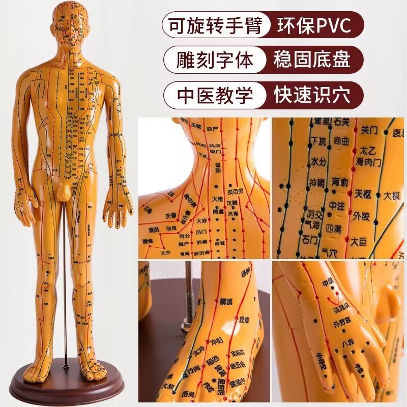[2.6,000 People Collection] Acupuncture Acupuncture Points Human Body ...