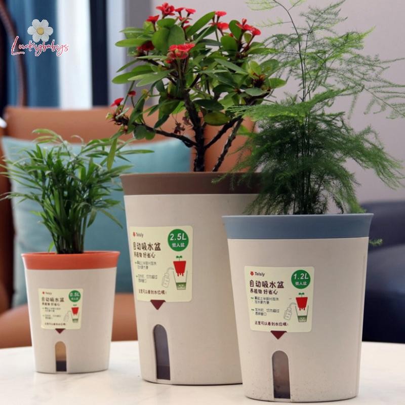 Luckybabys> Double Layer Self Watering Hydroponics Flower Pot Plastic ...