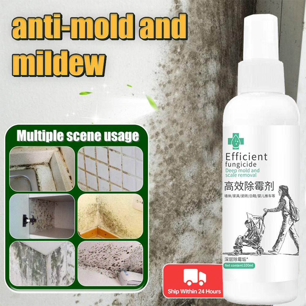 Powerful Wall Mold Remover Say Goodbye to Stubborn Molds, Safe ...