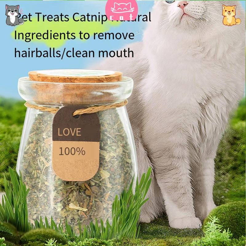 Catnip Powder Leaf Cat Treats Bottled Cat Biscuits Edible Hairball ...