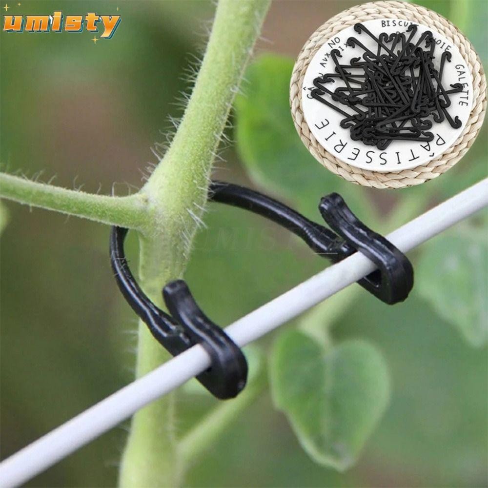 UMISTY 150Pcs Vegetable Strapping Clips Plant Vegetable Grafting Clips ...