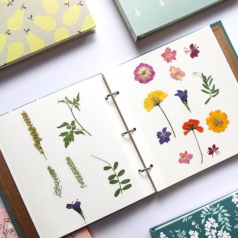 Plant Specimen Collection Book Dried Leaves Embossed Storage Book Loose ...
