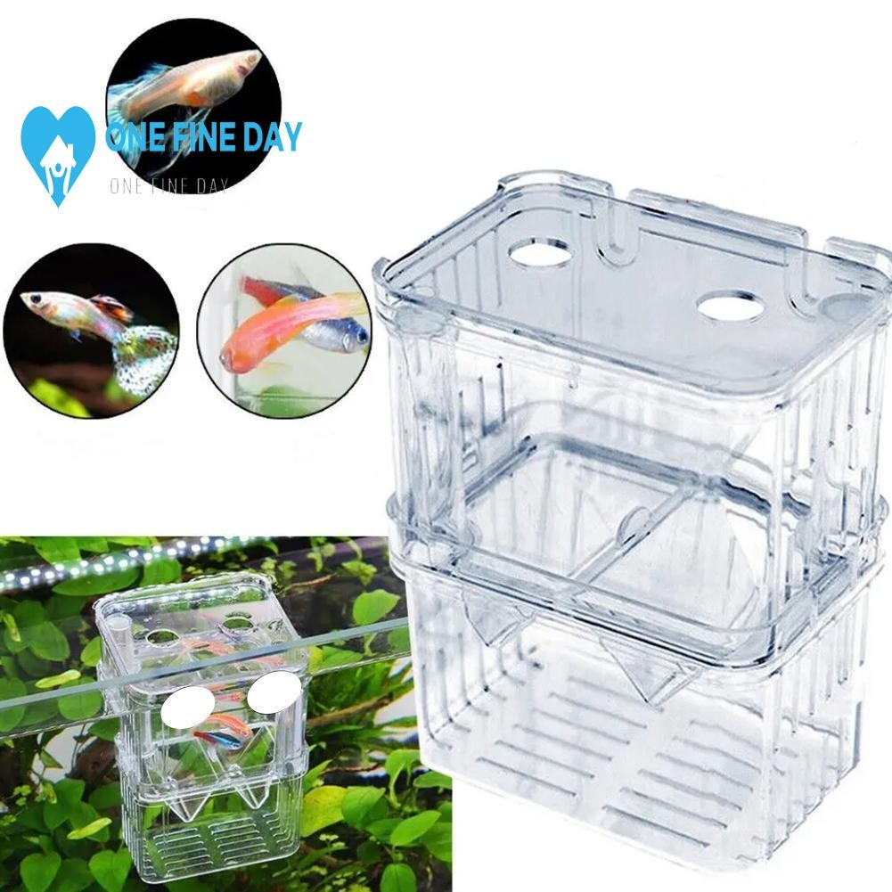 Fish Breeding Acrylic Double Layer Self-floating Peacock Isolation Box ...