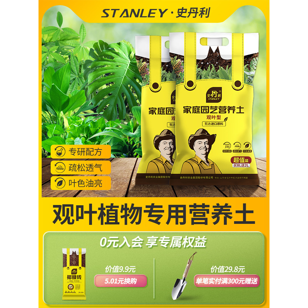 Jenis Dedaunan Stanley Tanah Nutrien Khas Tumbuhan Hijau Tanaman ...