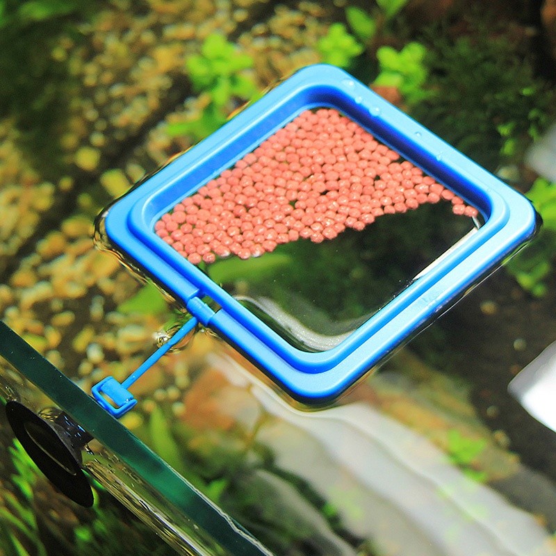 Square/round Floating Fish Feeding Tray Mounted to Fish Tank - Fish ...