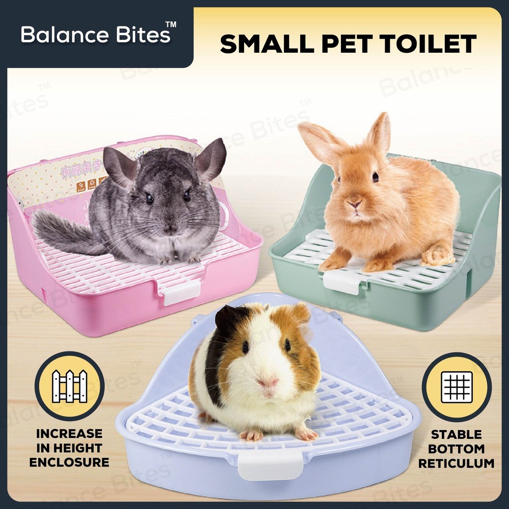 Small Triangle Toilet Square Toilet Rabbit Toilet Guinea Pig Toilet 三角形 ...